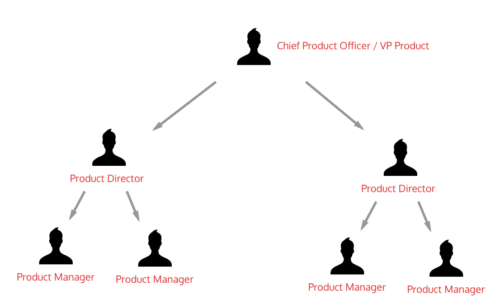 What is the Product Owner Career Path?