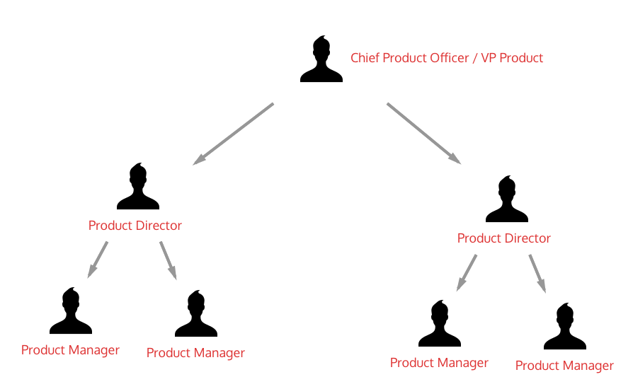What is the Product Owner Career Path?